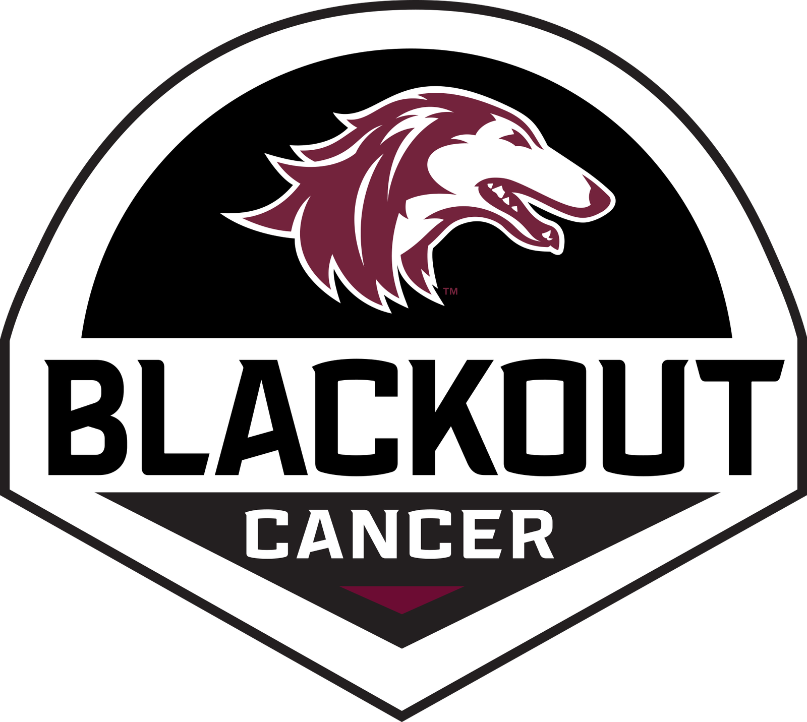 How to Bid | Salukis Blackout Cancer